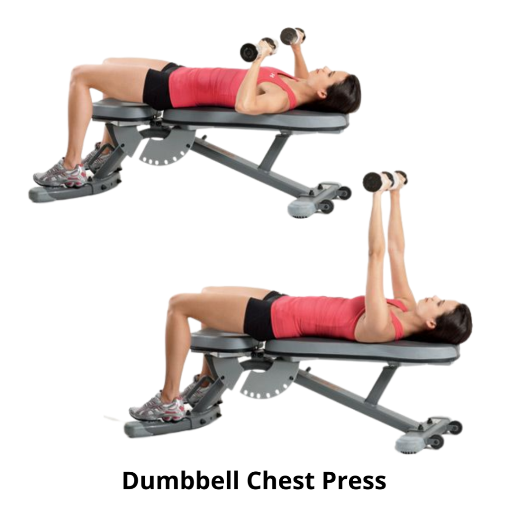 Dumbbell Press Flat Bench